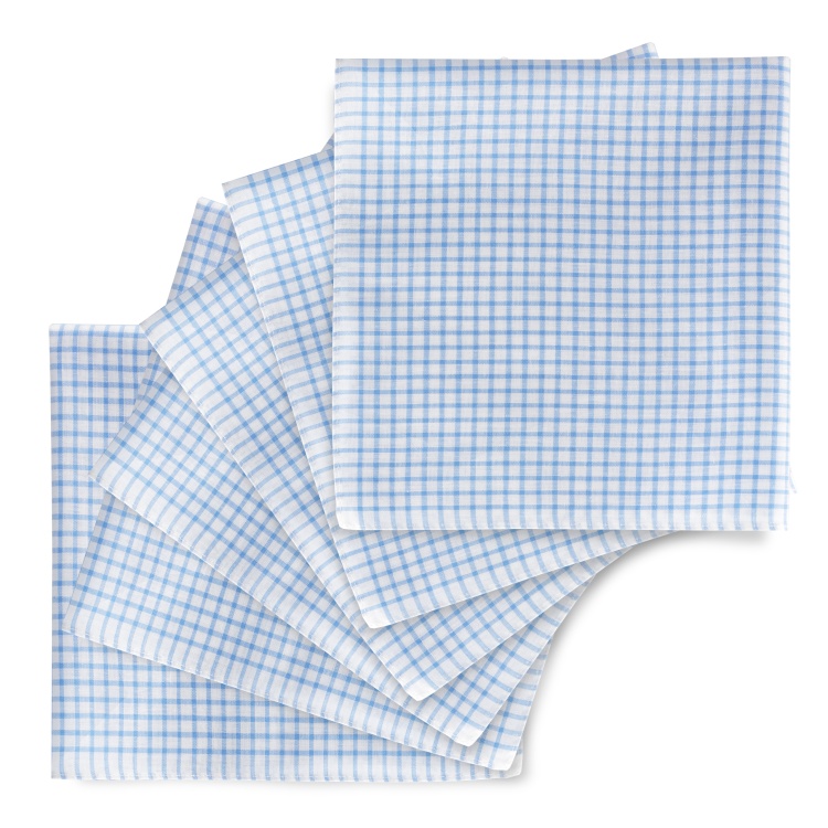 White and Blue Checked Cotton Handkerchiefs - Gents Shop
