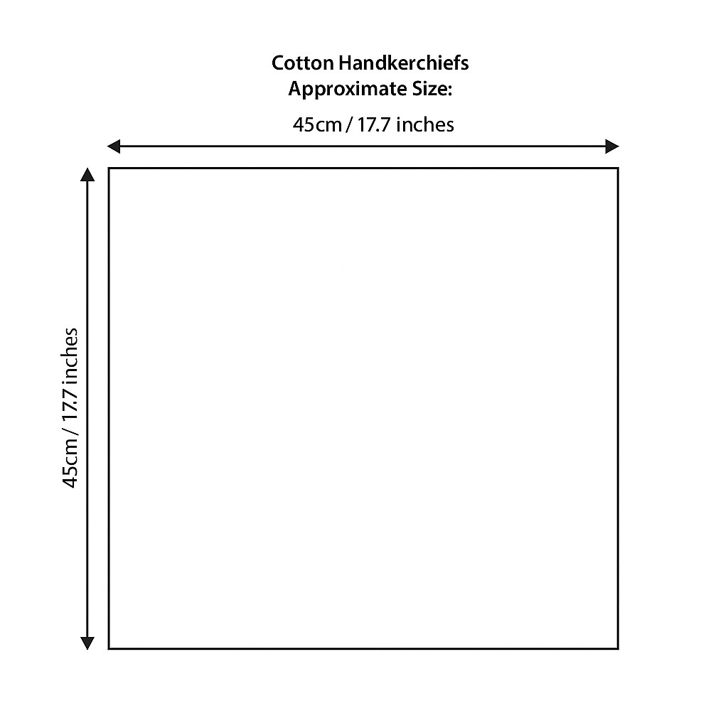 3 Large Cotton Handkerchiefs Blue Red Patterned - Gents Shop